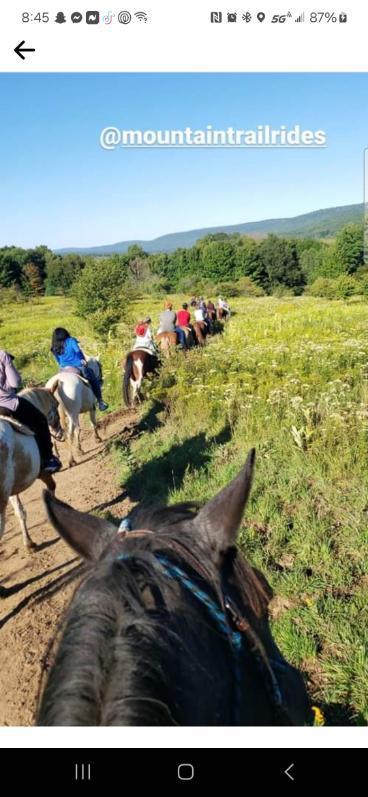 Home :: Mountain Trail Rides